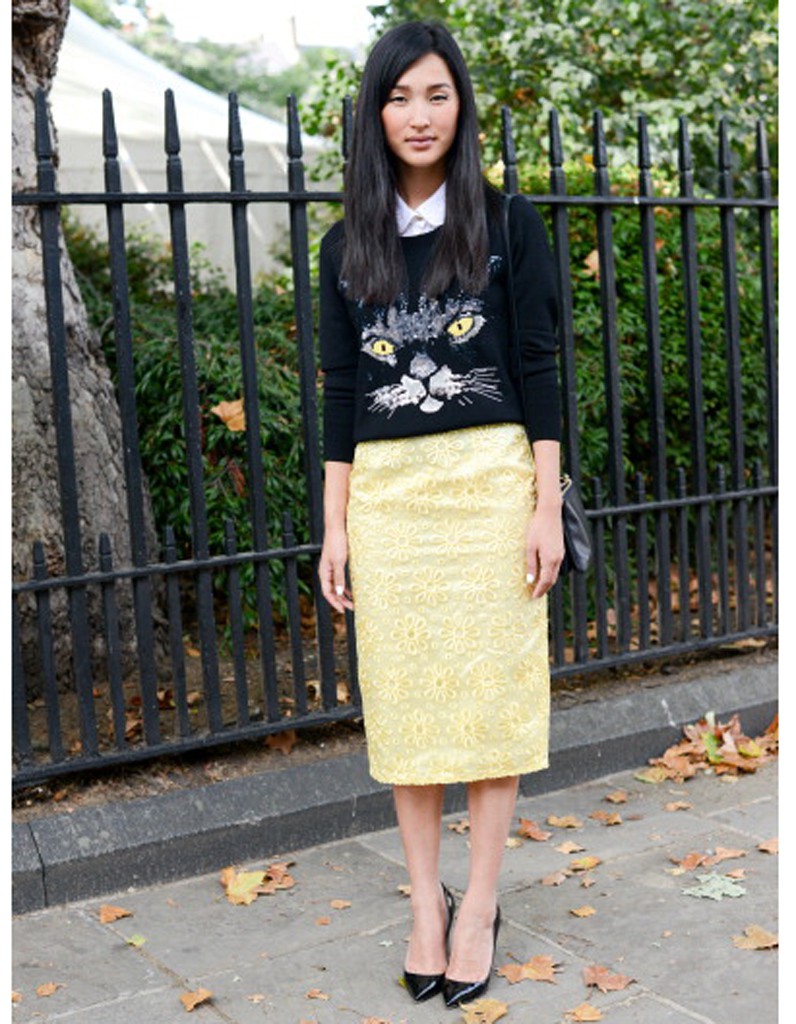 ☑ quel pull mettre avec une jupe